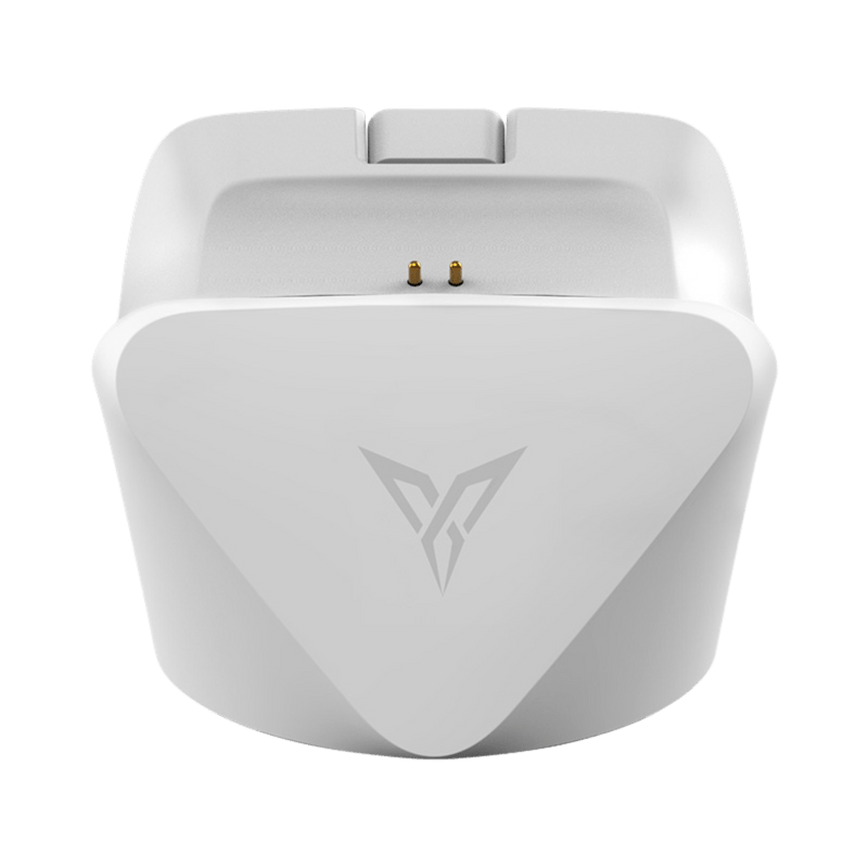 Flydigi - Direwolf 4 Charging Dock Flydigi - Zenox Hong Kong